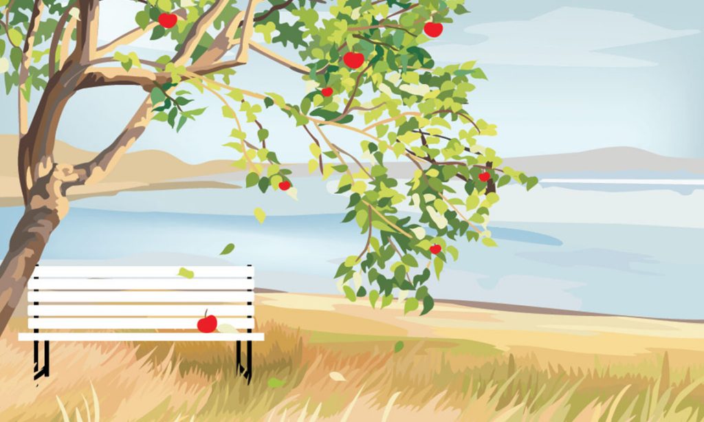 The apple does not fall far from the tree… or does it? - The Methodist ...